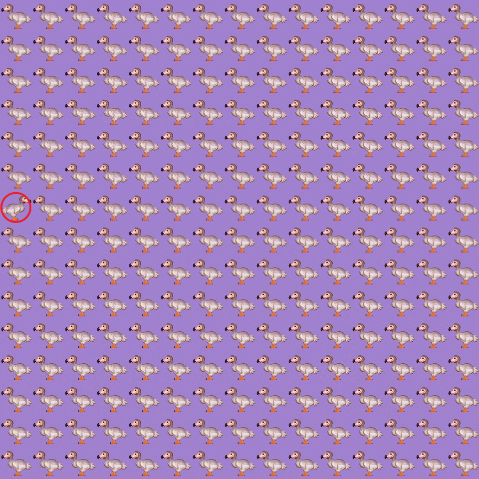 1-dodo-100×100-15×15-yh32-solution.gif | QuizPost