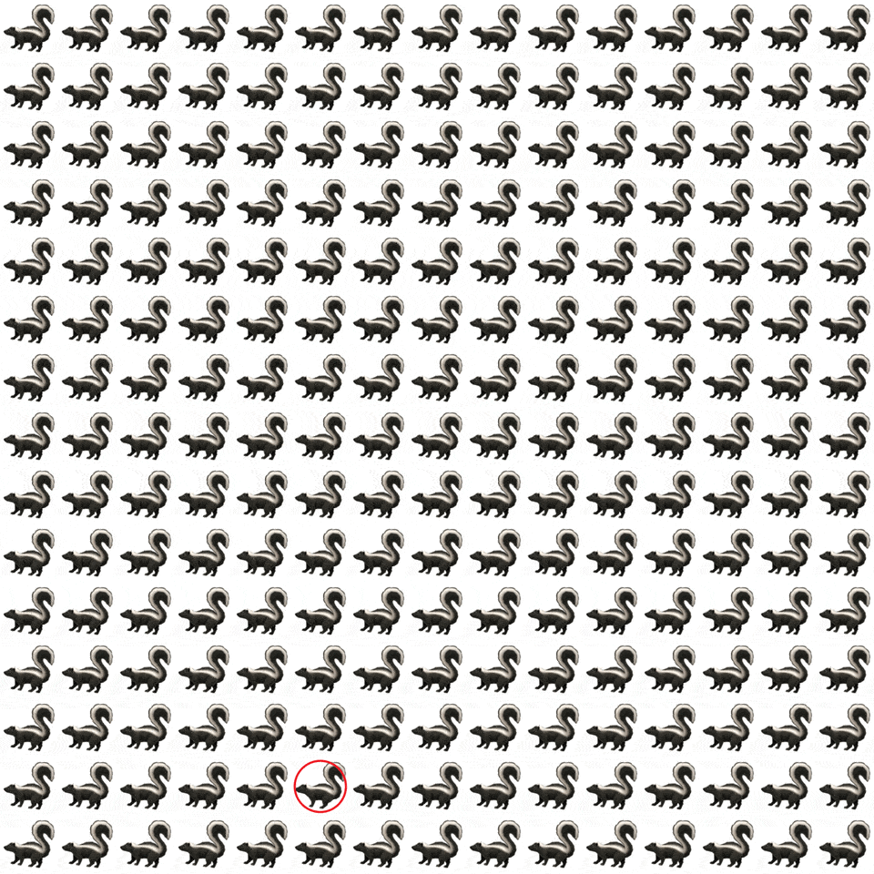 1-skunk-emoji-15×15-Mlzi-solution.gif | QuizPost