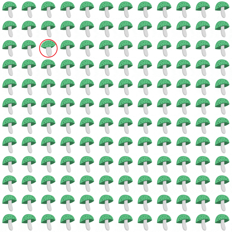 6-green-toadstool-12×12-fIgR-solution.gif | QuizPost
